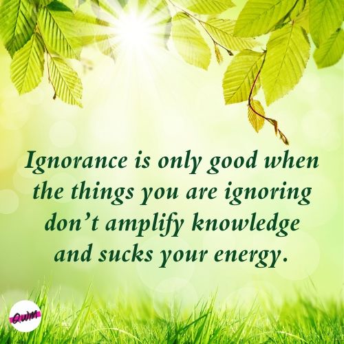 50+ Best Ignorance Quotes with Images | Wise Ignorance Sayings