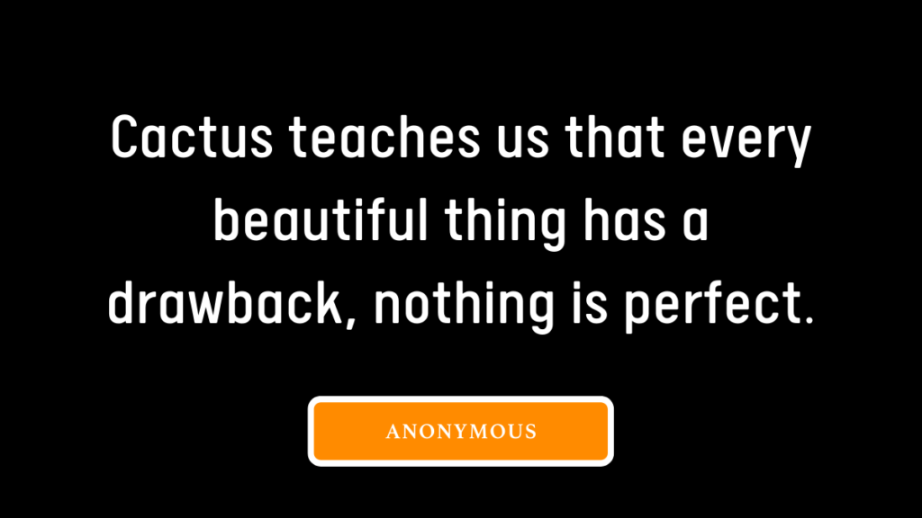 50+ Best Cactus Quotes and Sayings With Images