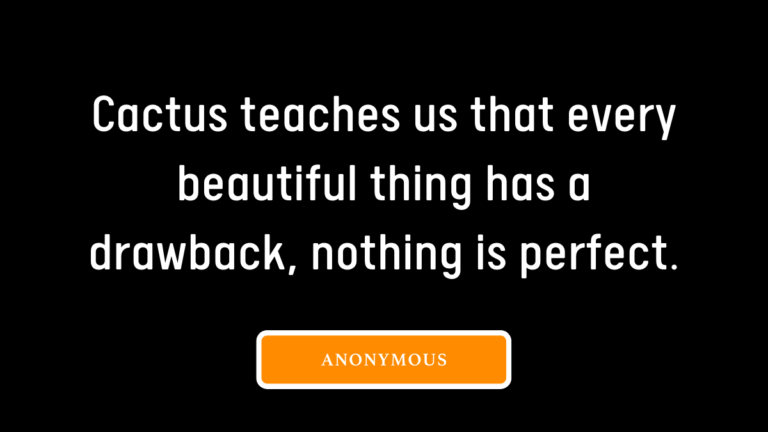 50+ Best Cactus Quotes and Sayings With Images