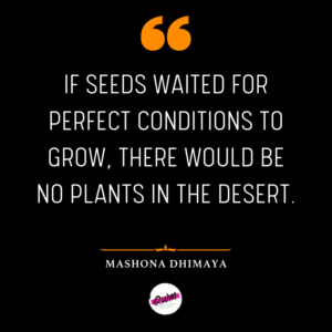 50+ Best Cactus Quotes and Sayings With Images